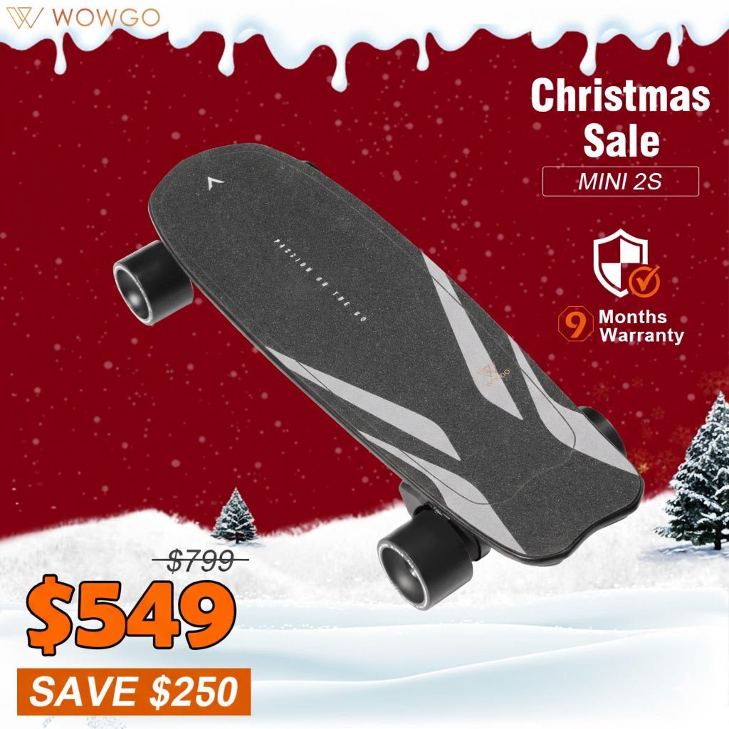 Electric Skateboards Longboards skate board Shop